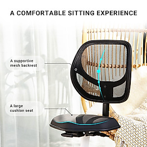 FLEXISPOT Under Desk Bike Pedal Exerciser, 2-in-1 Exercise Bike, Home Office Desk Chairs with Pedal Exerciser, Indoor Fitness Bike Bicycle for Home Office Workout（White）