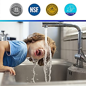 3M Aqua-Pure Whole House Sanitary Quick Change Water Filter System AP904, Reduces Sediment, Chlorine Taste and Odor, and Scale