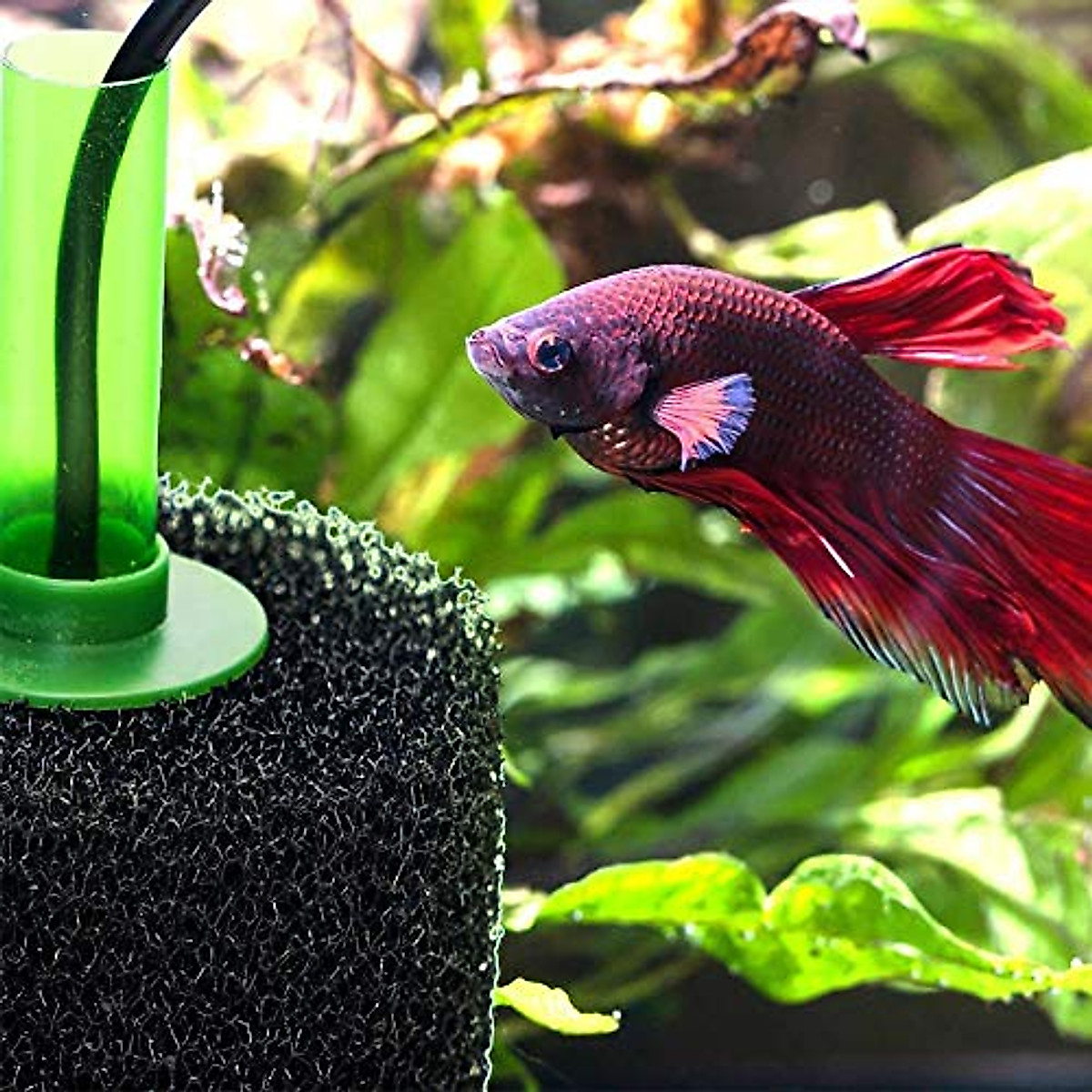 EKUEY 5.9″ Big Prefilter Sponge Foam Replacement Filtration Kit for Pond Aquarium Fish Tank, 6 Pack