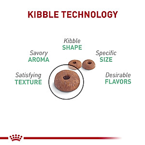 Royal Canin Feline Care Nutrition Digestive Care Dry Cat Food, 3 lb bag