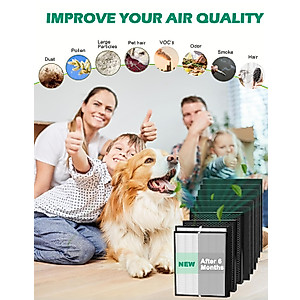 Miloidea 10 Pack 3000 True HEPA Replacement Filters Compatible with 3000,3000M,3000Pro Air Purifier, 2 True HEPA, 2 Activated Carbn & 6 Extra Carbn Pre-filters(2+2+6), 3000 Accessory, NOT for 3500