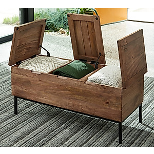 Signature Design by Ashley Braddick Trunk, Light Brown and Black