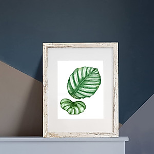 SESEAT 11x14 Frames Pack of 4,Display Pictures 8x10 with Mat or 11x14 Without Mat,Wall Mounting, Distressed White