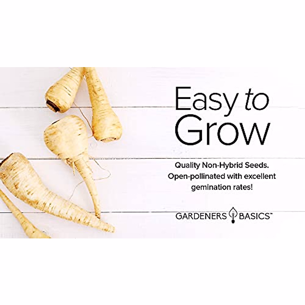 Parsnip Seeds for Planting - Harris Model Heirloom, Non-GMO Vegetable Variety- 1 Gram Approx 200 Seeds Great for Summer, Fall, and Winter Gardens by Gardeners Basics