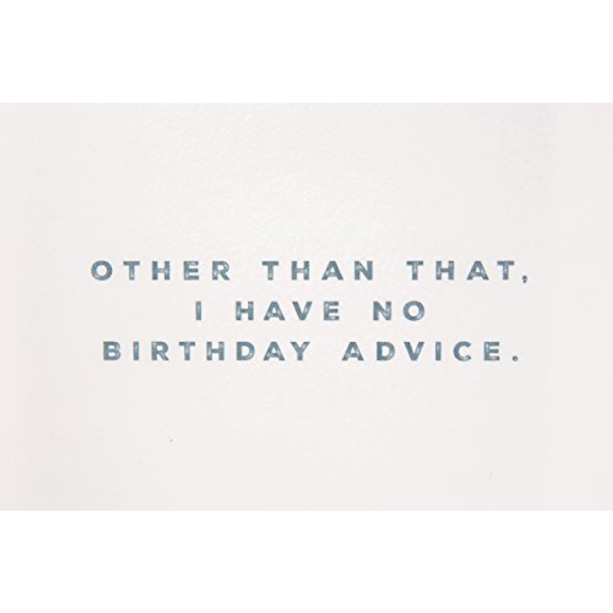 Hallmark Studio Ink Birthday Card (Bats Are Coming) (0299RZJ5025)