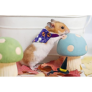 CooShou Halloween Guinea Pigs Wizard Hat Bandanas Costume Rabbit Triangular Scarf Black Orange Pumpkin Spider Bat Devil for Small Animals Bunny Sugar Glider Holiday Party S