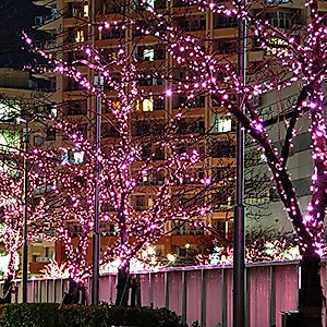 Christmas Lights Fairy Lights 33ft 100 LED Outdoor String Lights with Memory Modes Controller, Extendable Chirstmas Decorations for Tree, Wedding, Christmas, Valentine, Patio, Indoor Outdoor (Pink)