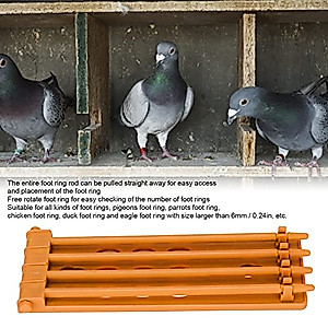 2Pcs Pigeons Foot Ring Holder, Plastic Pigeon Leg Ring Holder Bands Rack Frame for Parrots Racing Pigeon Carrier Pigeon