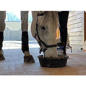 MagnaGard - Gastric Support Supplement for Horses | Relieves Ulcers, Calming Supplement, Magnesium & Other Vital Minerals | Powder, 20lb Bucket, 5-Month Supply | by Eagle Equine