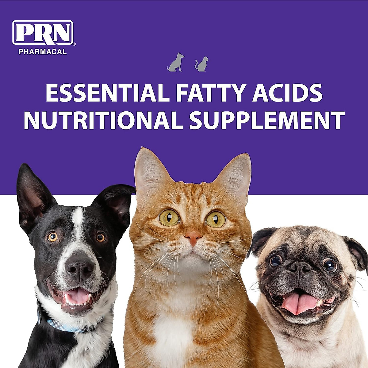 PRN Pharmacal OPTIMA 365 - Essential Fatty Acids Nutritional Supplement for Cats & Dogs - With Omega-3, Omega-6, Omega-9, & Other Vitamins & Minerals to Support Overall Pet Health - 16 Fl Oz