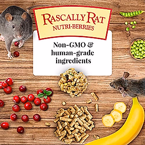 LAFEBER'S Rascally Rat Nutri-Berries, Made with Non-GMO and Human-Grade Ingredients, for Rats, 10 oz