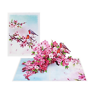 Mothers Day Card, Pop Up Valentines Day Birthday Anniversary Cards, 3D Get Well Soon Thank You Card (Size 6x8 In – Cherry Blossom Robins Couple).