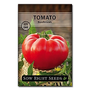 Sow Right Seeds - Beefsteak Style Tomato Seed Collection for Planting - Beefsteak, Kellogg's Breakfast, Cherokee Purple, & Ponderosa Pink - Non-GMO Heirloom Varieties to Plant a Home Vegetable Garden