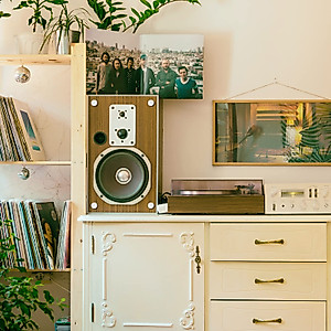 12 Sheets / 1160pcs Screw Hole Cover Stickers, Self-Adhesive Screw Caps Stickers Dustproof Cabinet Hole Cover Sticker for Wardrobe Kitchen Bookcase Wood Furniture (White)