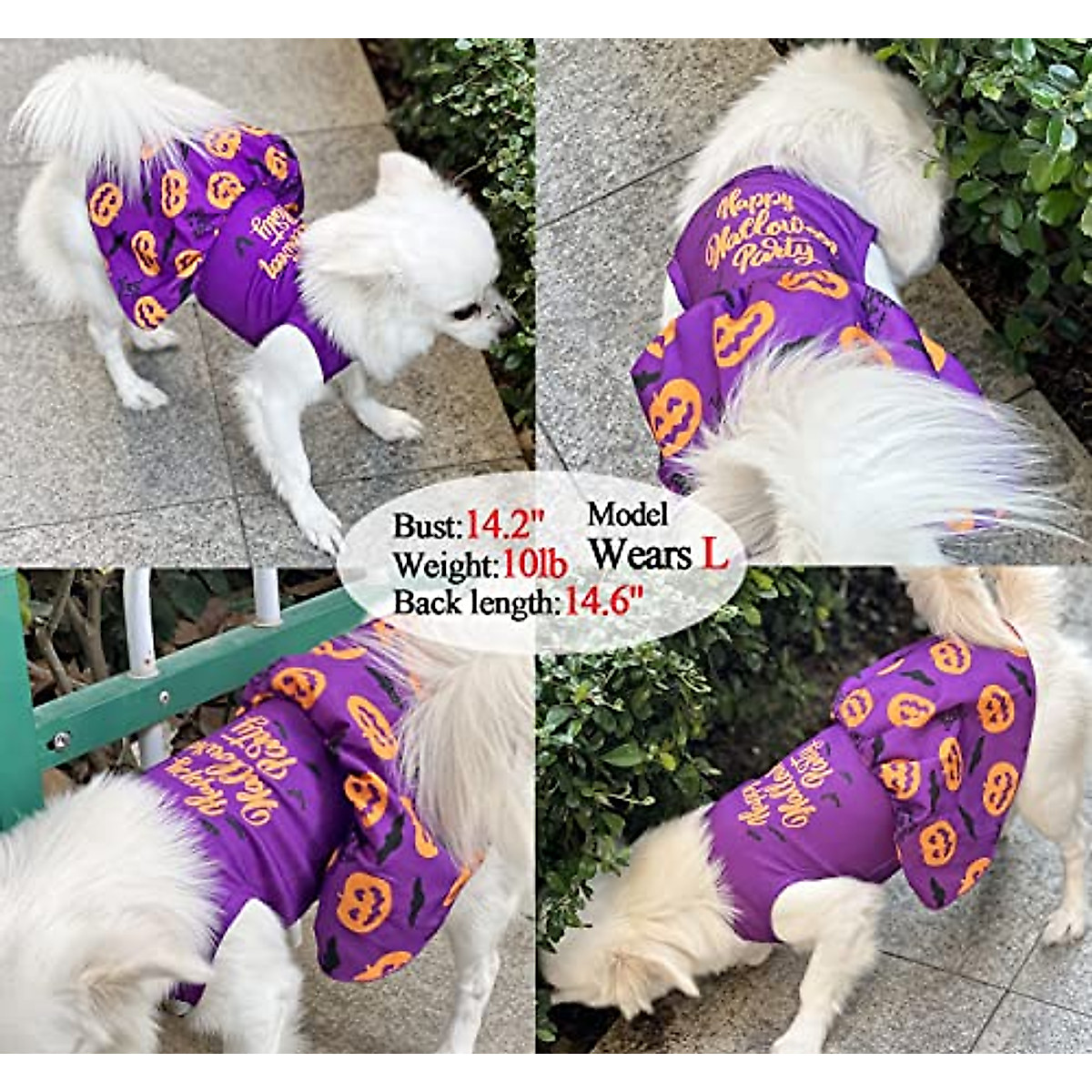 Dog Halloween Witch Dresses Costumes Puppy Skirts Apparel for Funny Pumpkin Head/Bat Party Dress Cosplay Halloween Costume for Small Medium Dogs Cats (Medium, Purple)