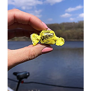 Quench Gum Tub, New Variety Fruit 300,300 Count (Pack of 1)