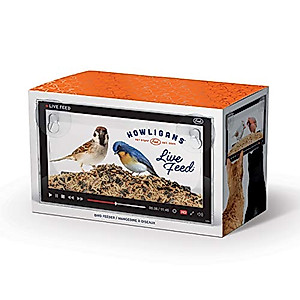 Genuine Fred Live Feed Bird Feeder, Clear