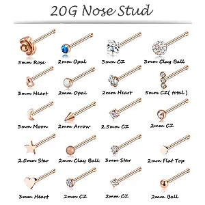 Tornito 20G 20Pcs Nose Ring CZ Nose Stud Retainer Bone Labret Nose Piercing Jewelry Set Stainless Steel Rose Gold Tone