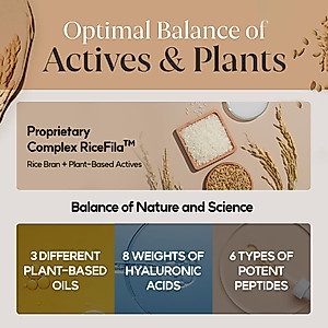 HAYEJIN RiceFila Rice Moisturizer Face Cream | Day and Night Moisturizer for Face Hydrating Face Cream Natural Rice Vegan Face Moisturizer for Dry Skin | K Beauty Face Lotion Rice Cream (1.69 Fl. Oz)