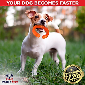 Dog Chew Toy for Moderate Chewers – Non-BPA Natural Rubber Dog Bone – Treat Filling Puppy Chew Toy for Teething – Made in USA( Orange Toy Only) Dog Toys for Dental Care, Teeth Cleaning