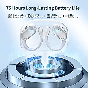 Falebare Wireless Earbuds, 75Hrs Playtime IPX6 Waterproof Bluetooth Headphones Sport Earphones with Wireless Charging Case & LED Digital Display Earphones with Earhooks HiFi Sound for Working and Gym