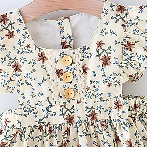 Colorful Childhood Baby Girls Dress Toddler Girls Flare Lace Trim Princess Party Dress (4-5T, Floral)