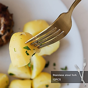 TJOUL Heavy Weight Dinner Fork Set, 18-0 Stainless Steel 12-Piece, 7 Inches Table Forks