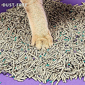 PETKIT 5 in 1 Mixed Cat Litter,Odor Control Clumping Cat Litter,8LB Bag,Water Flushable Bentonite Tofu Cat Litter,Dust-Free