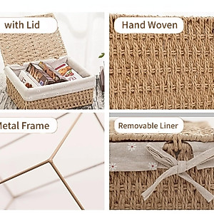 Rattanzenith Small Wicker Basket with Lid Paper Rope Storage Baskets for Shelves Set of 3 Tampon Holder with Lid and Removable Liner for Bathroom Makeup Closet Drawer Desk Organizer (Khaki)