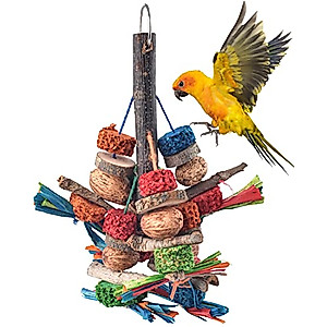 Bissap Bird Chew Toys, Natural Bark Corncob Nuts Parrot Toys and Treats for Conure Cockatoo Parakeet Budgies Cockatiel Lovebirds Pets Cage Bite Toy