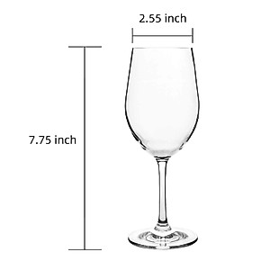 12.5-ounce Unbreakable Wine Glasses-Acrylic Plastic Stem Wine Glasses, set of 6clear color,Dishwasher Safe,BPA Free (clear color, 12.5-ounce)