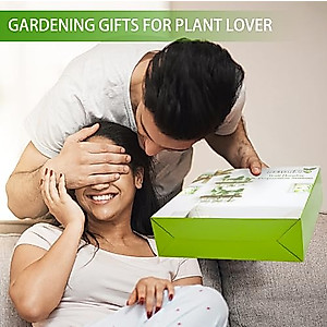 RENMXJ Wall Hanging Plant Propagation Station - 6 Bulb Vase 2 Tiered Wooden Stand Plant Terrarium kit,Home Office Bathroom Kitchen Decor,Wall Planters for Indoor Plants,Gardening Gifts for Women