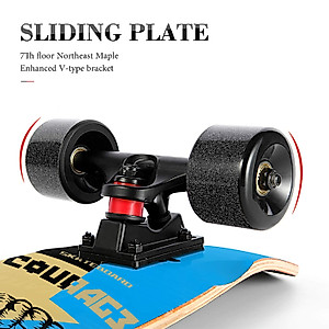 LOSENKA 28 inch Mini Cruiser Skateboard Cruiser | Canadian Maple Deck - Designed for Kids, Teens and Adults (Persistence Pro)