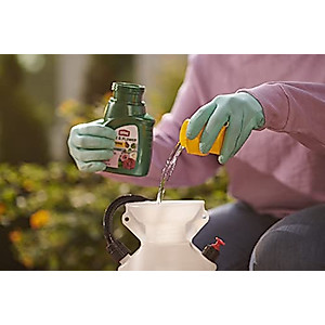 Ortho Rose & Flower Disease Control Concentrate, 16 oz