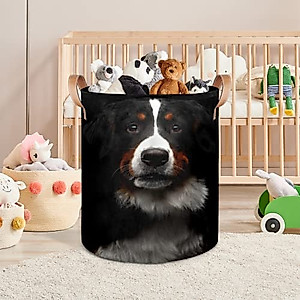 Bernese Mountain Dog Animals Collapsible Laundry Basket Large Laundry Hamper Waterproof Foldable Storage Bins Laundry Basket with Leather Handles Clothes Nursery Hampers for Bathroom Bedroom Toy Organizer
