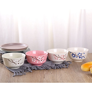 VanEnjoy Set of 4 Japanese Style Ceramic Rice Bowl,4 Assorted Color Cherry Blossoms Among Snow Flake Pattern Bowls Set