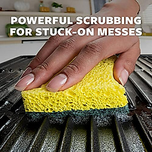 Scotch-Brite Heavy Duty Scrub Sponges, for Washing Dishes and Kitchen Use, 36 Scrub Sponges