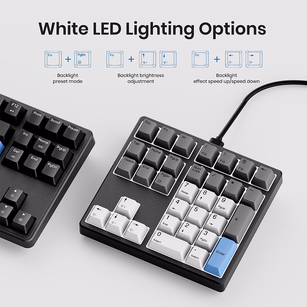 Kisnt Mechanical Number Pad, 34 Key Wired Hot Swappable Keypad, Gateron Switches White Backlit Numpad,USB Numeric Keypad with PBT Keycaps for Laptop, Mac, PC Desktop(Red Switch)