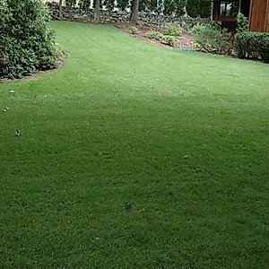 Outsidepride SPF-30 Hybrid Bluegrass Seeds - 5 lbs. Heat & Drought Tolerant, Texas Bluegrass & Kentucky Bluegrass Seed Mix for Challenging Climates, OptiGrowth Coated for Better Establishment