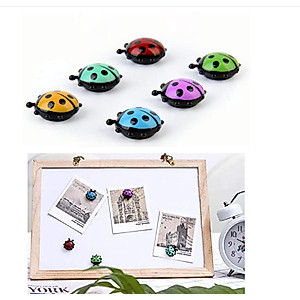 HLLMX 12 PCS Cute Ladybug Refrigerator Magnets Kitchen Magnets Office Magnets for Kitchen School Classroom, Locker Magnets for Kids Boys Girls, Home Decoration Photos