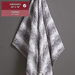 Beautyrest Zuri Reversible Faux Fur to Mink Electric Blanket, Auto Shut Off, Virtually Zero EMF, Multi Heat Setting, UL Certified, Machine Washable, Grey Tip Dye Throw 50x70