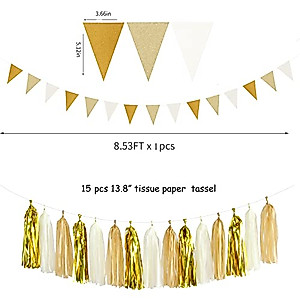 White-Gold Champagne Birthday Party Decorations - 27pcs Tissue Pom Poms Streamers,Christmas Tassel Garland,1st,2nd,10th,13th,18th,25st,30th,40th,50th Neutral Happy Birthday Banner Decor Panduola
