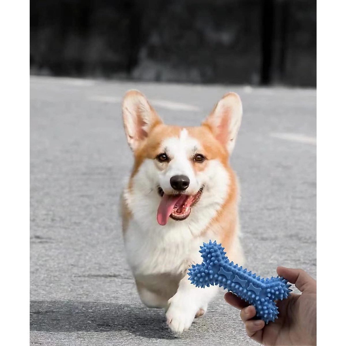 AGIEG Puppy Teething Chew Toys Pet Dog Chew Rope Toothbrush Chew Toys Small Medium Dog (6 Pack Dark Green)