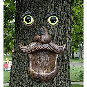 ALLADINBOX Tree Face Birdfeeder - Old Man with Glowing Eyes in Dark Outdoor Tree Hugger Sculpture - Whimsical Garden Decoration and Wild Birdfeeder Yard Art