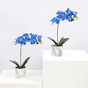 U'Artlines Artificial Orchid in White Pot Fake Phalaenopsis Flower Real Touch with Vase for Table Office Home Party Decoration (Medium, White)