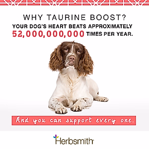 Herbsmith Taurine Boost - Cardiac and Heart Support for Dogs and Cats - Taurine Supplement for Dog and Cat Heart Health – with CoQ10, Taurine and L-Carnitine for Dogs - 75g
