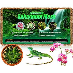 Mostopiaryart Sphagnum Moss Perfect for Plant Propagation, Extremely Strong Water Absorption Ability, Help with Maintain Humidity(3.5OZ)
