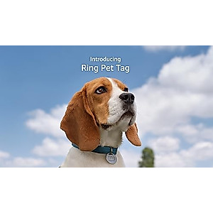 Ring Pet Tag | Easy-to-use tag with QR code | Real-time scan alerts | Shareable Pet Profile | No subscription or fees