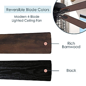 RIVER OF GOODS Industrial LED Ceiling Fan - 52" L x 52" W - Caged Ceiling Fan with Lights - Rich Barnwood/Black Fan Blades