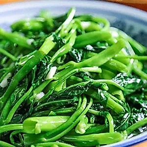 Dichmag 1000+ Kong Xin CAI Seeds for Yard & Garden - Non-GMO Rau Muong Green Leaf Vegetable Seeds for Planting - 95% Germination Rate Choy Ong Seeds Produced in The US, 1000 seeds